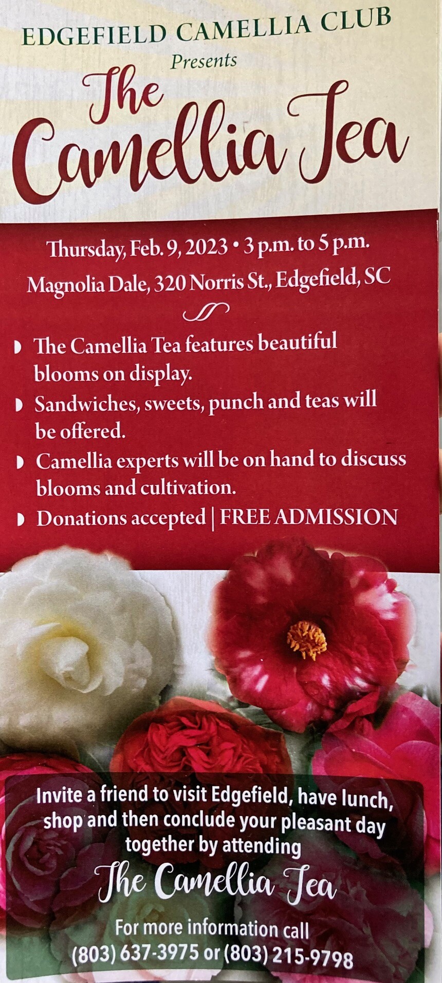 Edgefield Camilla Tea at Magnolia Dale - Town of Edgefield, South Carolina