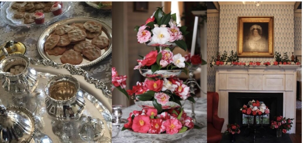 Edgefield Camilla Tea at Magnolia Dale - Town of Edgefield, South Carolina